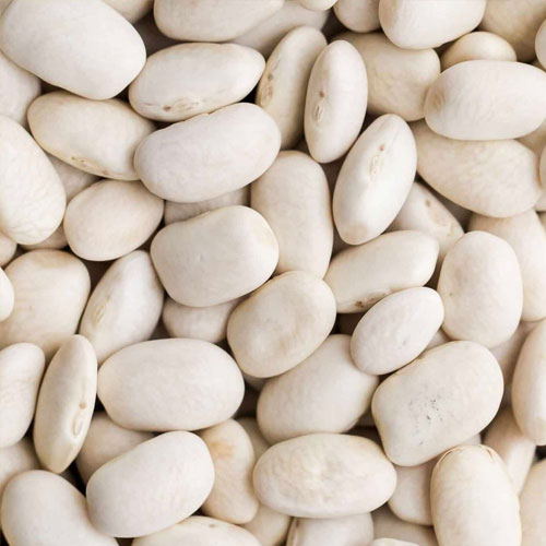 BEANS - CMSOFT.EU.